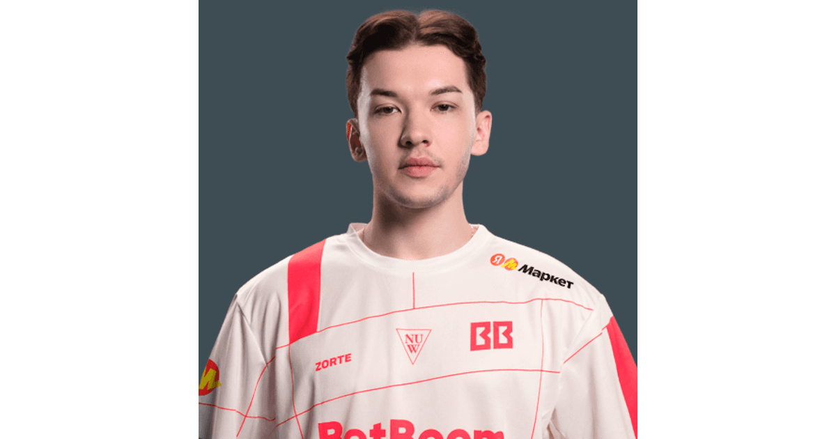 zorte steam profile on Profilerr