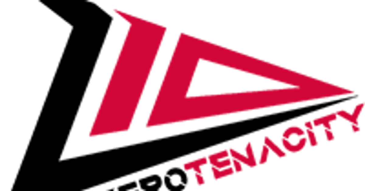 Zero Tenacity CS2 Pro Team: Players, Stats, Earnings, Achievements