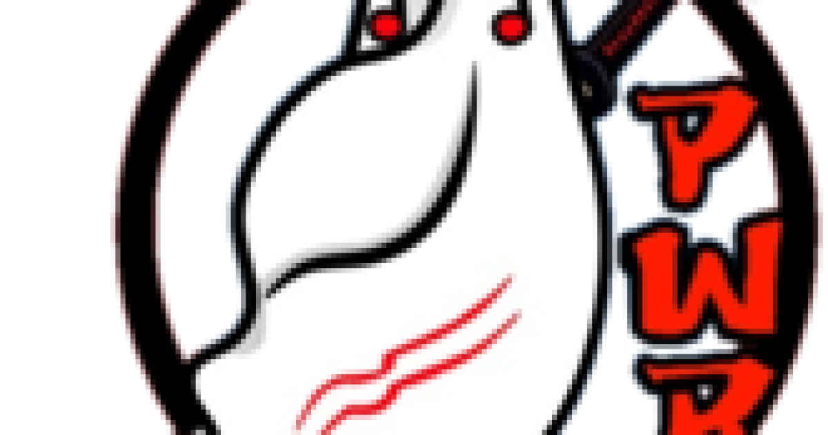 FIFTY FIVE POWER CS2 Pro Team: Players, Stats, Earnings, Achievements