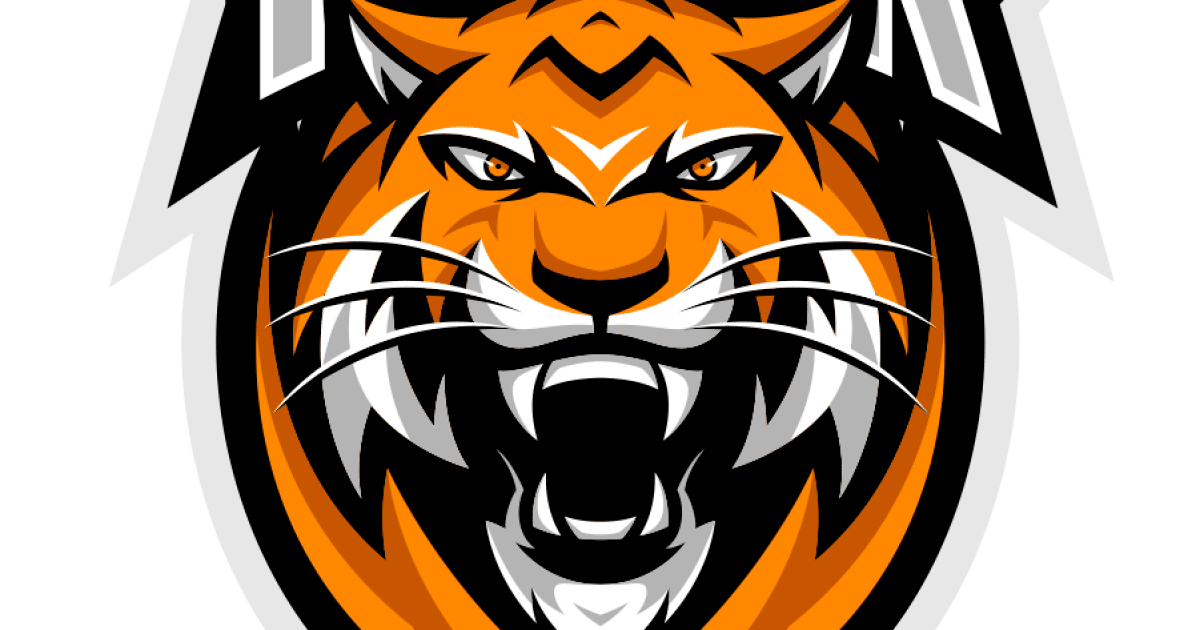 TIGER CS2 Pro Team: Players, Stats, Earnings, Achievements