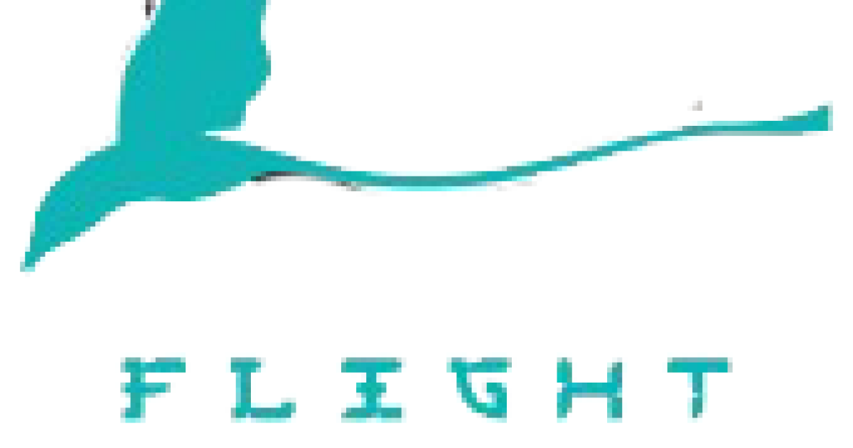 Flight Esports CS2 Pro Team: Players, Stats, Earnings, Achievements