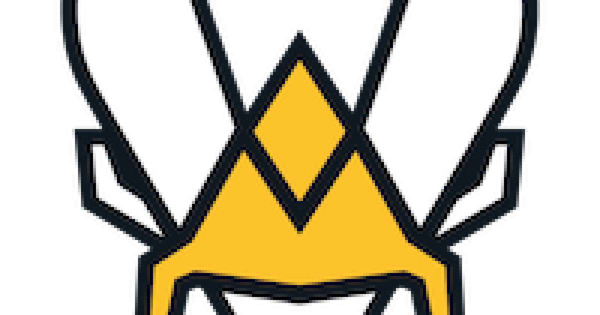 Vitality CS2 Pro Team: Players, Stats, Earnings, Achievements