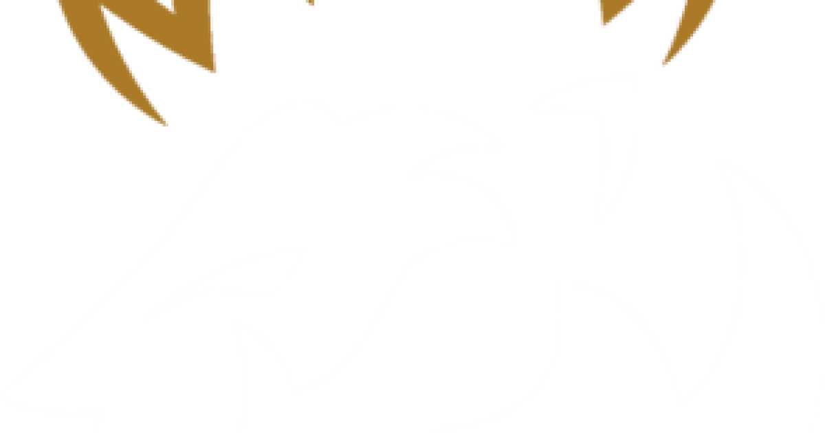 Pryde CS2 Pro Team: Players, Stats, Earnings, Achievements