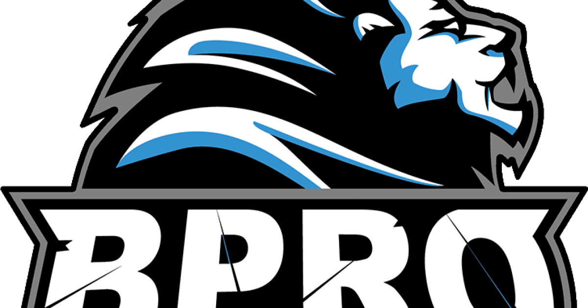 Bpro CS2 Pro Team: Players, Stats, Earnings, Achievements