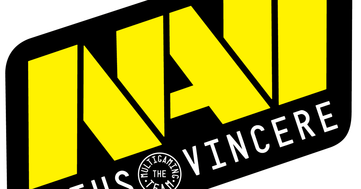 NAVI Junior CS2 Pro Team: Players, Stats, Earnings, Achievements