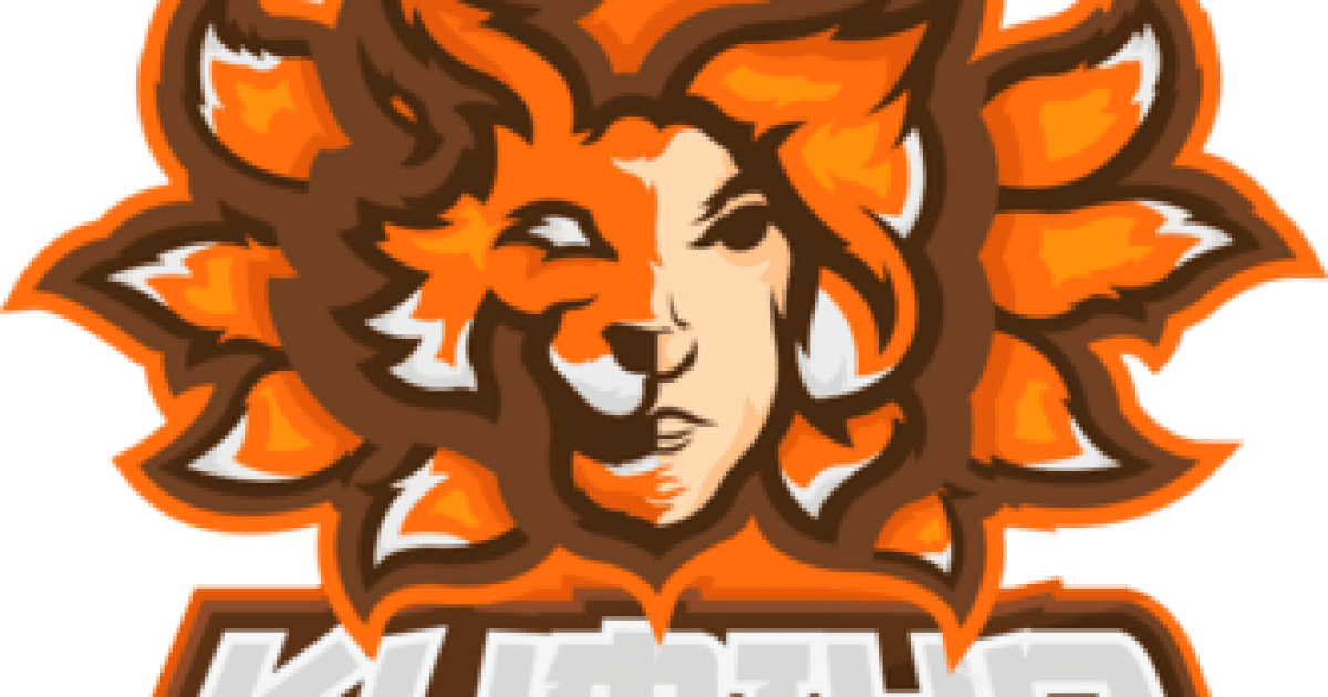 Kumiho Gaming CS2 Pro Team: Players, Stats, Earnings, Achievements