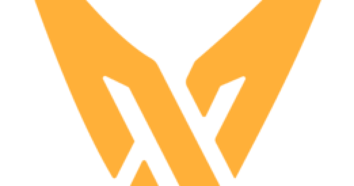 Vanir CS2 Pro Team: Players, Stats, Earnings, Achievements
