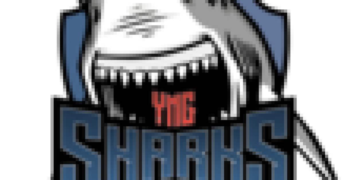 Sharks CS GO Pro Tým: Hráči, statistiky, výdělky, úspěchy