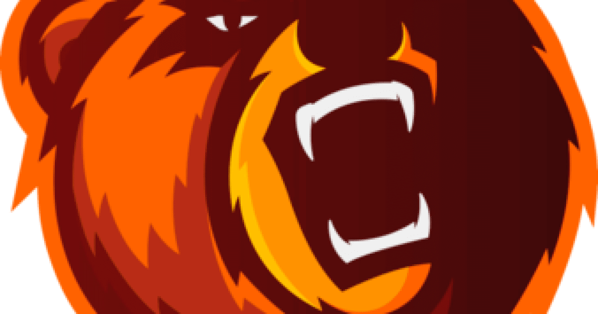 Bears Concept CS2 Pro Team: Players, Stats, Earnings, Achievements