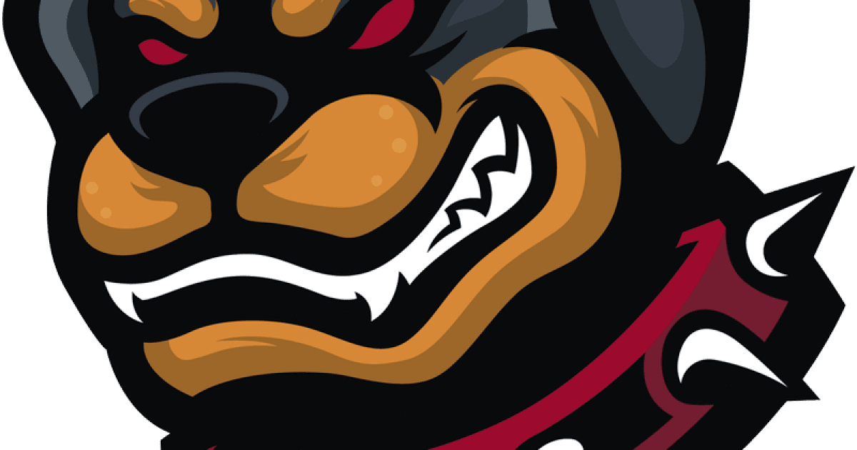 Dogs of War CS2 Pro Team: Players, Stats, Earnings, Achievements