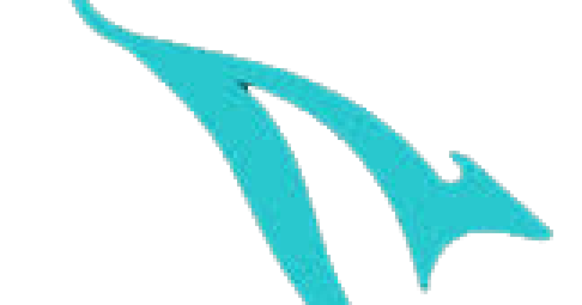 VIXIT CS2 Pro Team: Players, Stats, Earnings, Achievements