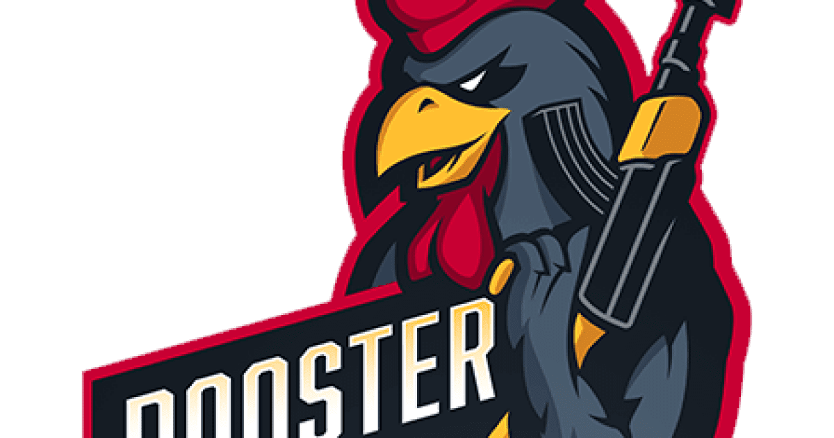 Rooster CS2 Pro Team: Players, Stats, Earnings, Achievements