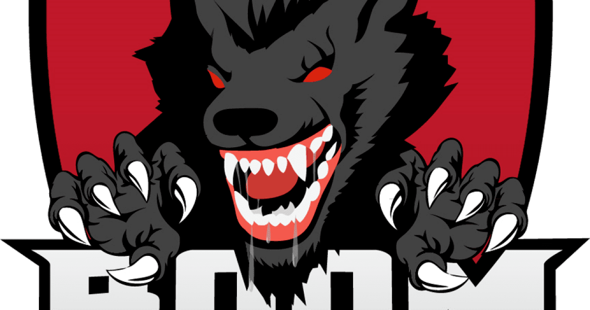 BOOM CS2 Pro Team: Players, Stats, Earnings, Achievements