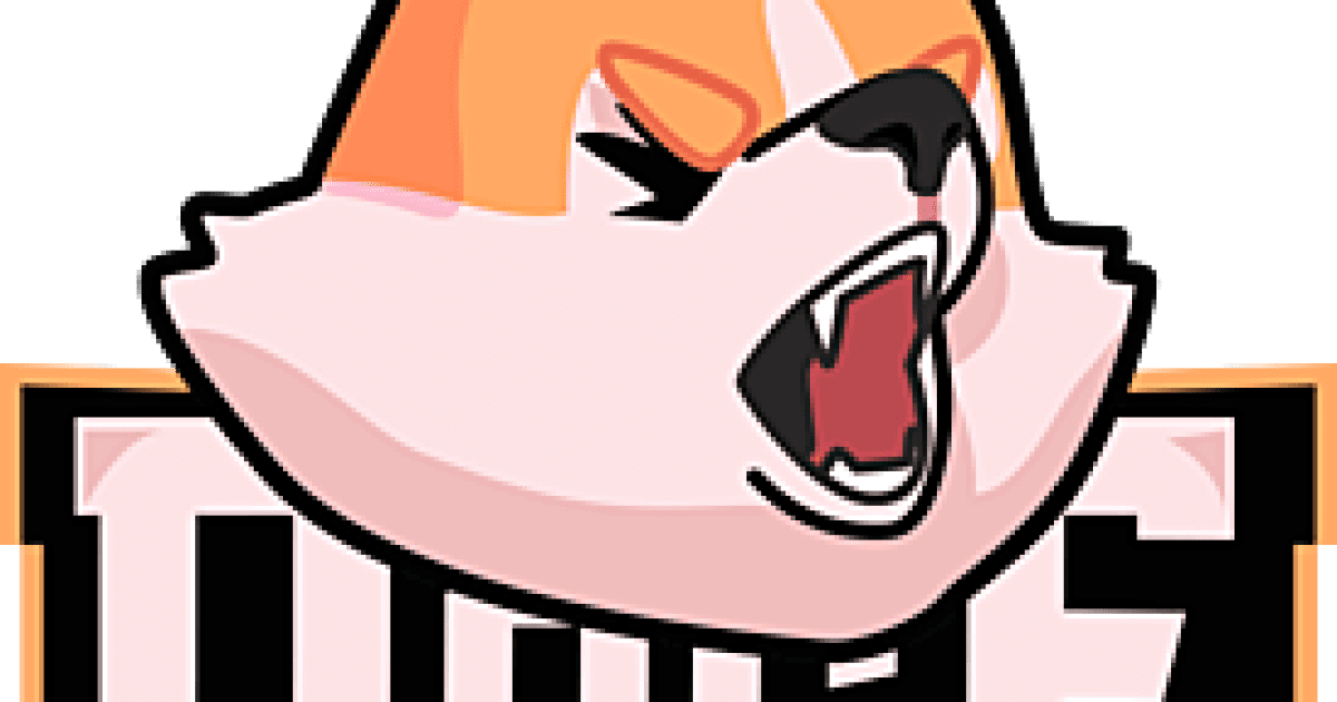 Doge Soldiers CS2 Pro Team: Players, Stats, Earnings, Achievements