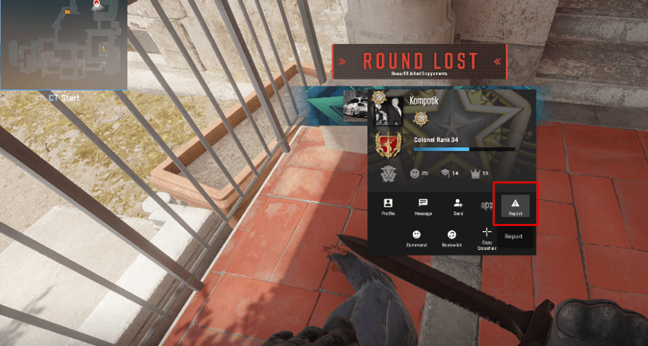 How to Avoid Cheaters in CS2? | Profilerr