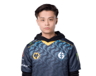 CS2 Pro Players Headset Stats