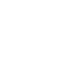 IEM Rio: Global Open Qualifier 2026