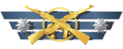 CS:GO Wingman Ranks & How to Play in Wingman Mode? | Profilerr