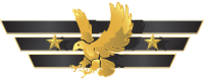 CS:GO Wingman Ranks & How to Play in Wingman Mode? | Profilerr