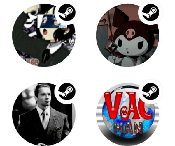 NiKo steam profile on Profilerr