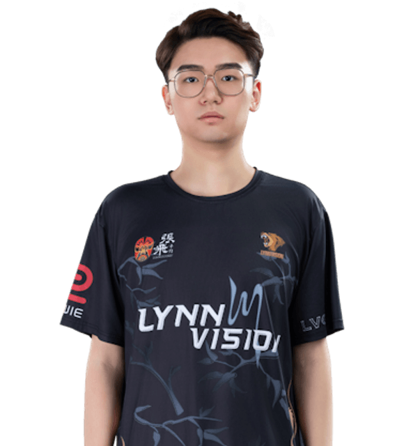 Lynn VisionCS2职业战队：玩家、数据、收入、成就