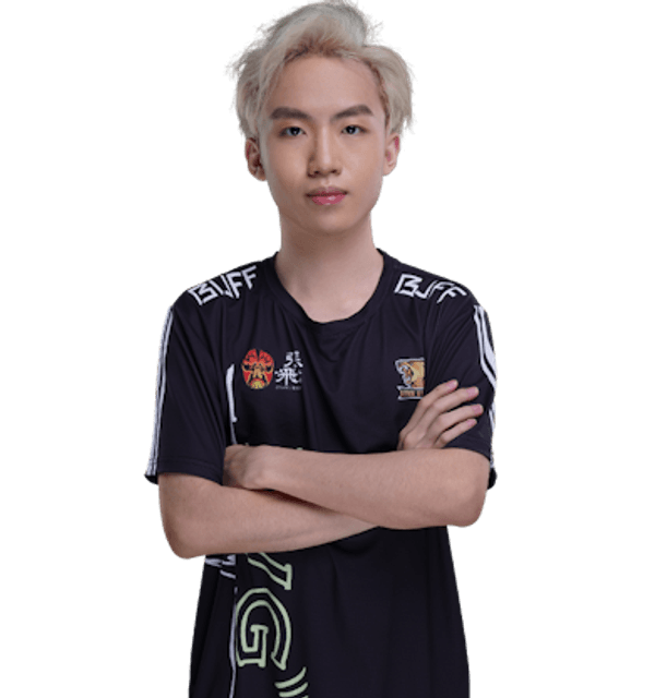 Lynn VisionCS2职业战队：玩家、数据、收入、成就