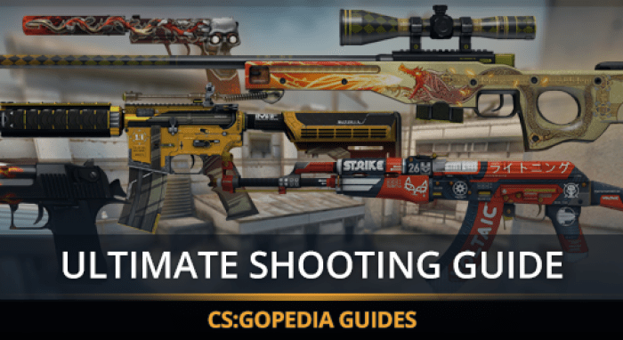 How to Show FPS in CS:GO + CS:GO Show FPS Commands | Profilerr