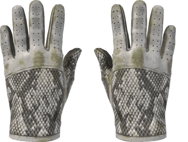 12 Best CS2 Gloves That Look Amazing + Prices | Profilerr