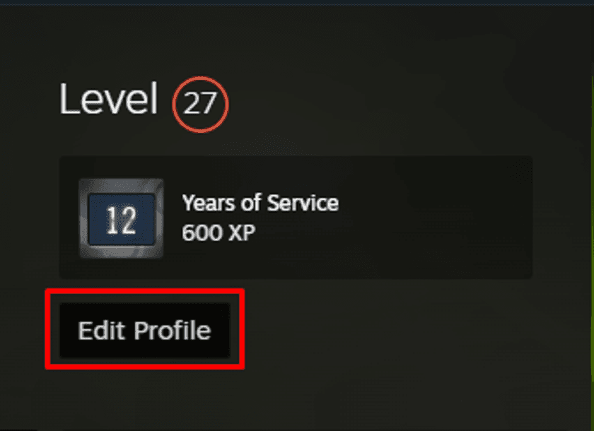 How to Change Name in Dota 2? | Profilerr