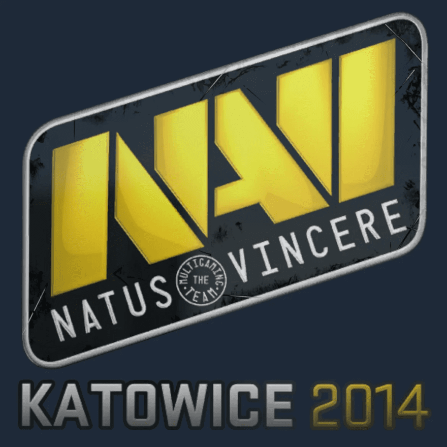 10 Most Valuable NAVI Stickers in Counter-Strike 2 | Profilerr