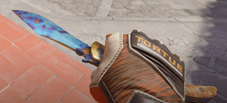 Navaja Case Hardened Blue Gem Patterns | Profilerr