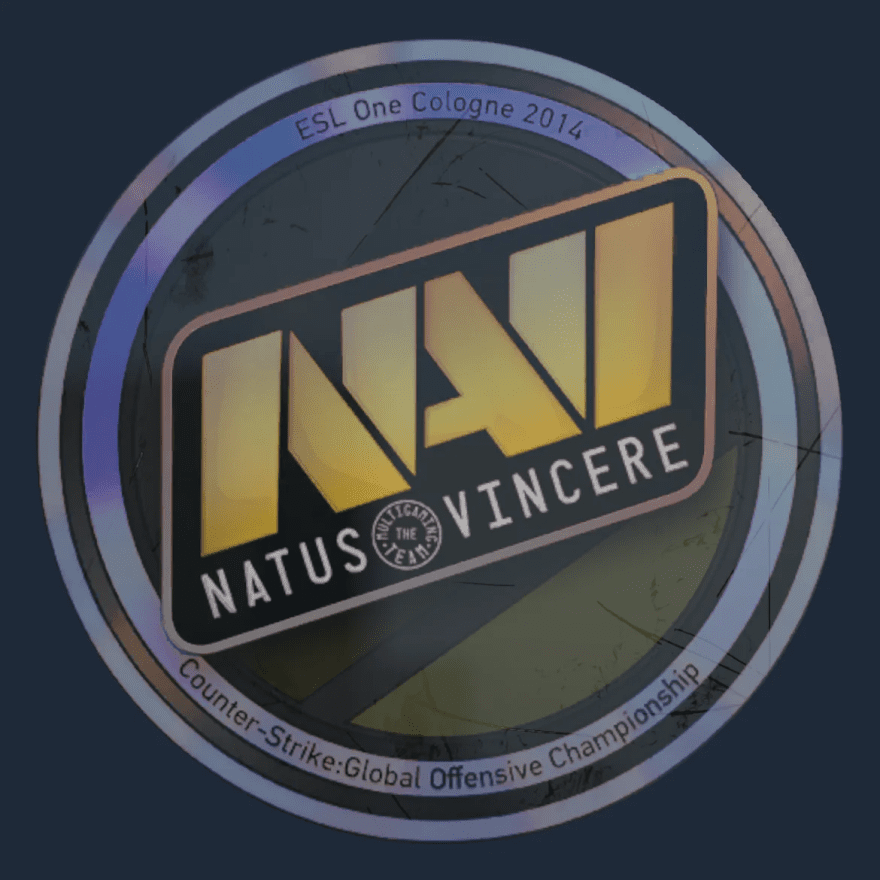 10 Most Valuable NAVI Stickers in Counter-Strike 2 | Profilerr