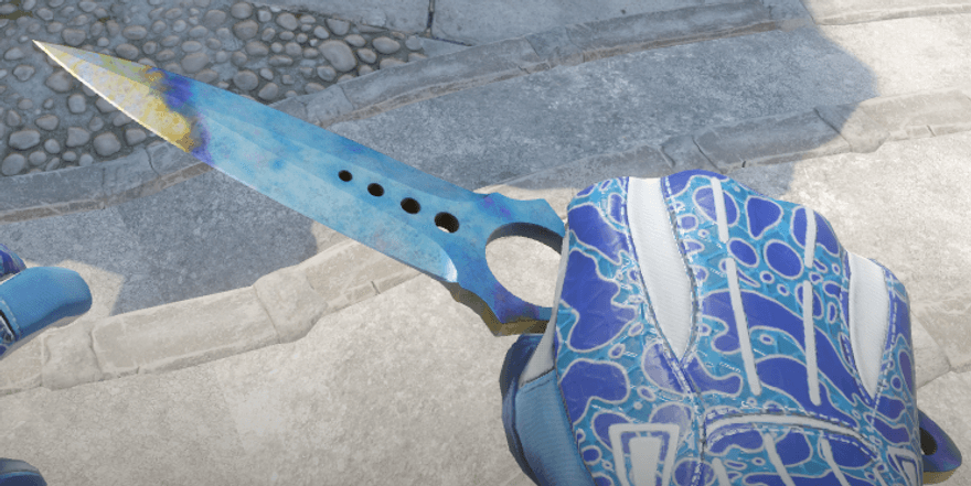 Skeleton Case Hardened Patterns (Blue Gem) | Profilerr