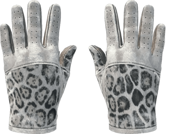 12 Best Gloves in CS2 That Look Amazing + Prices | Profilerr