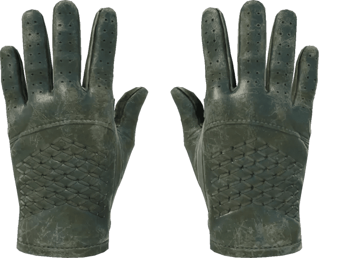 12 Best Gloves in CS2 That Look Amazing + Prices | Profilerr