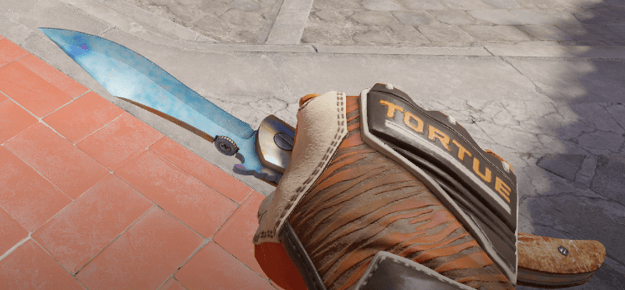 Navaja Case Hardened Blue Gem Patterns | Profilerr