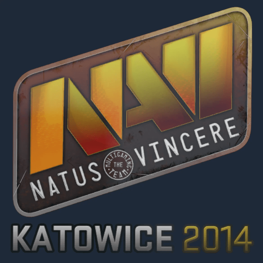 10 Most Valuable NAVI Stickers in Counter-Strike 2 | Profilerr