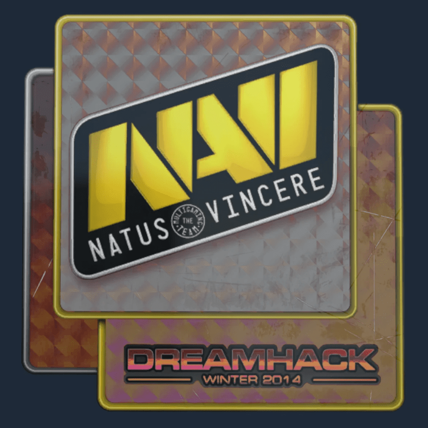 10 Most Valuable NAVI Stickers in Counter-Strike 2 | Profilerr