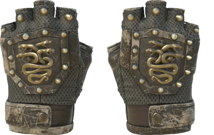12 Best Gloves in CS2 That Look Amazing + Prices | Profilerr