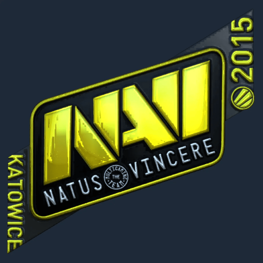 10 Most Valuable NAVI Stickers in Counter-Strike 2 | Profilerr