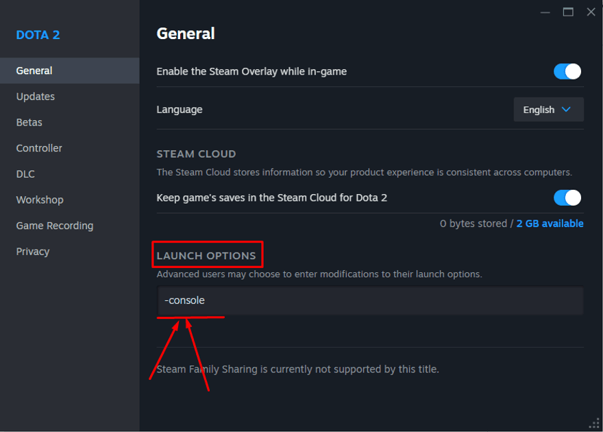 How to Enable Console in Dota 2? | Profilerr