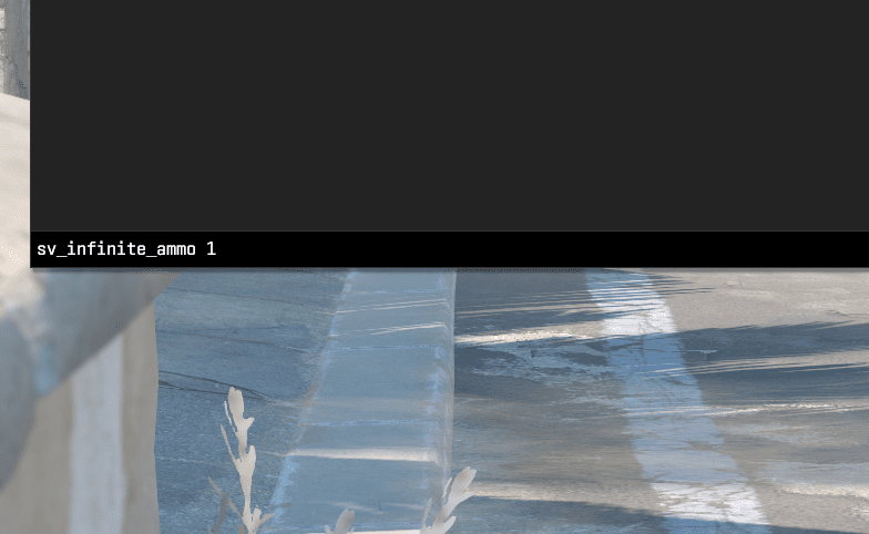 CS2 Infinite Ammo Command | Profilerr