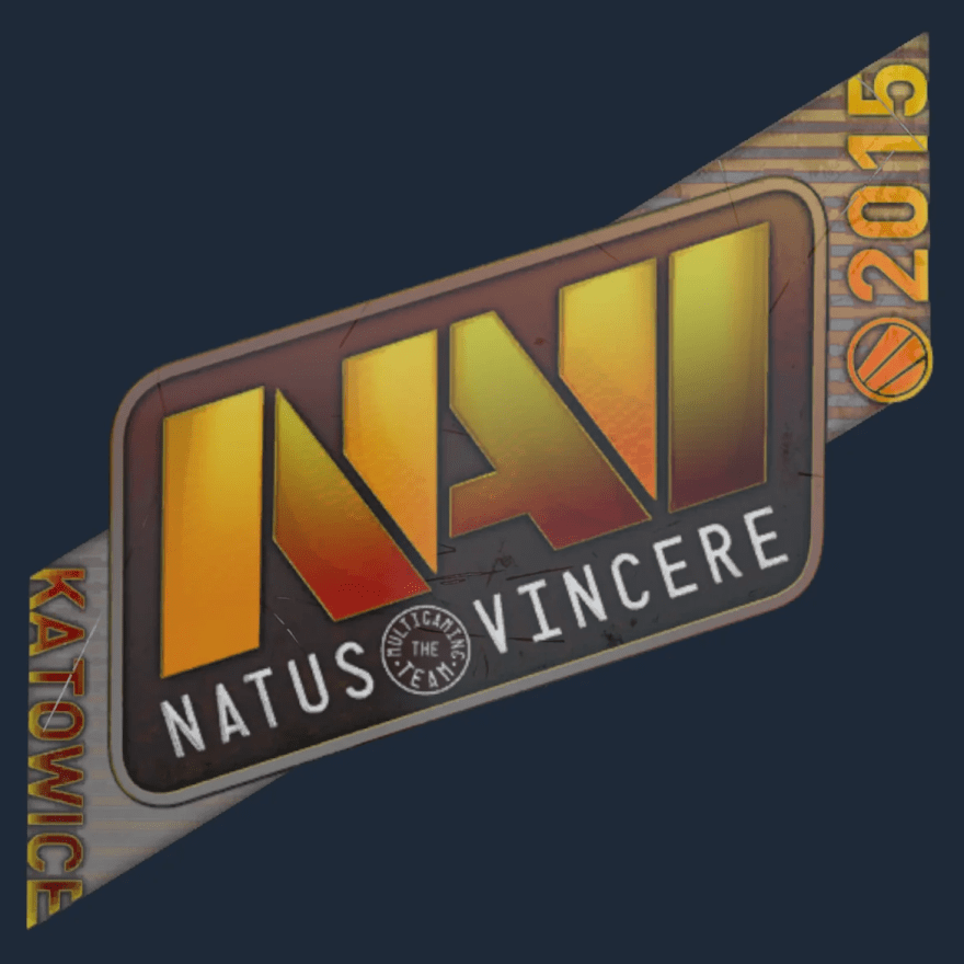 10 Most Valuable NAVI Stickers in Counter-Strike 2 | Profilerr