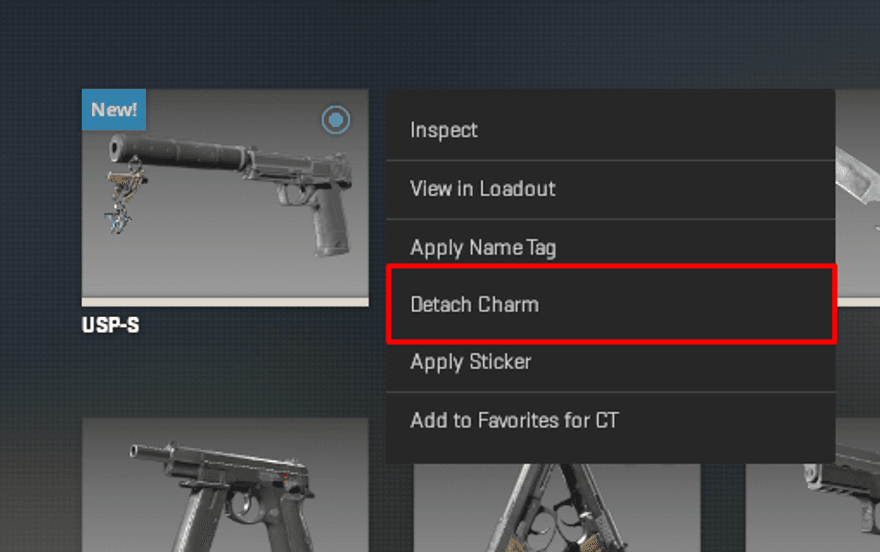 How to Apply a Charm in CS2: Guide | Profilerr
