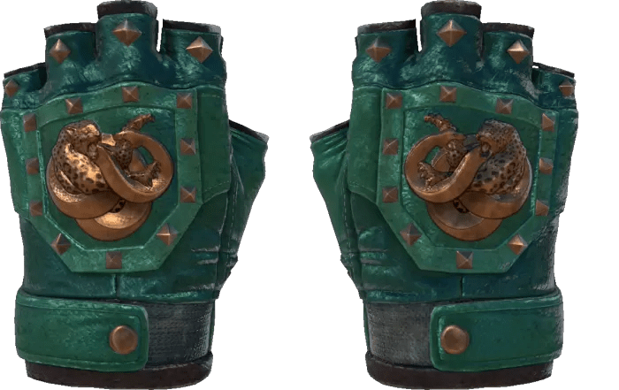 12 Best Gloves in CS2 That Look Amazing + Prices | Profilerr