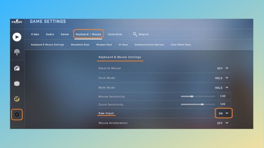 CS:GO Raw Input: On or Off — Let's Find Out | Profilerr