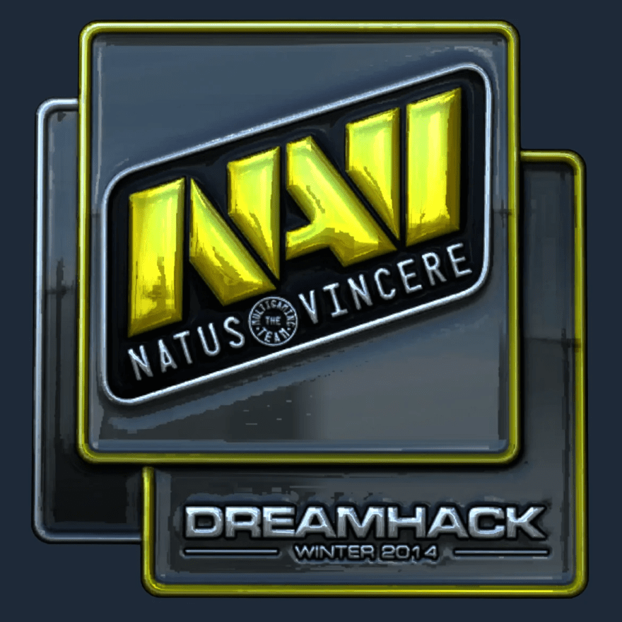 10 Most Valuable NAVI Stickers in Counter-Strike 2 | Profilerr