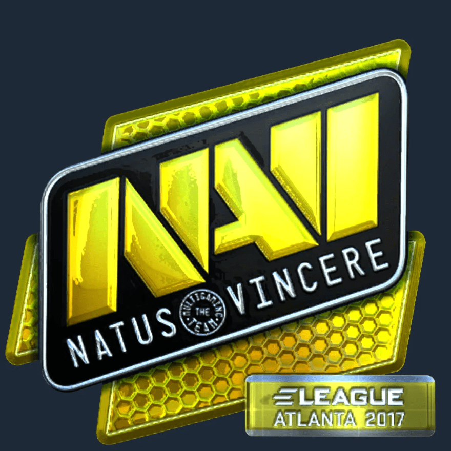 10 Most Valuable NAVI Stickers in Counter-Strike 2 | Profilerr